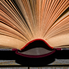 Book thumbnail | Chief Scientist